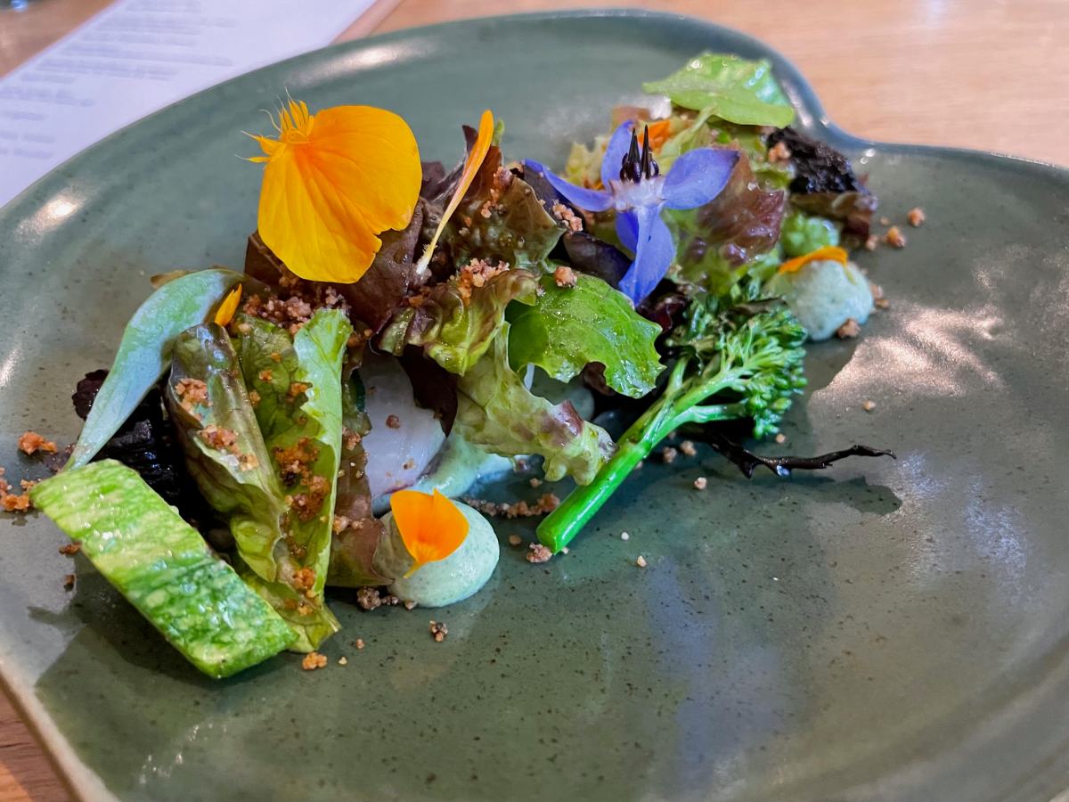 Roots – York – Foodie Boys
